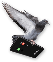 Contact Us - Excalibur Insurance