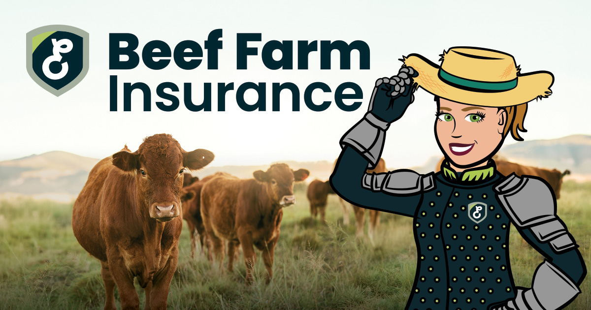 Beef Farm Insurance - Excalibur Insurance - Ontario