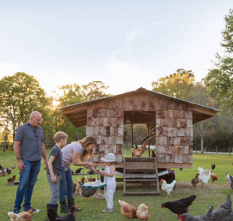 Hobby Farm Insurance - Excalibur Insurance - Ontario